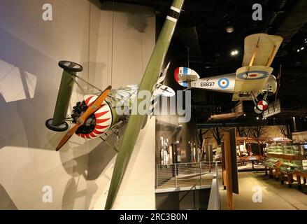 German Fokker D VIII fighter plane, WW1 Stock Photo - Alamy