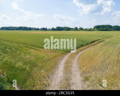 Vertical stripes of agricultural parcels of different crops. Aerial ...