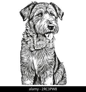 Airedale Terrier dog vector graphics, hand drawn pencil animal line ...
