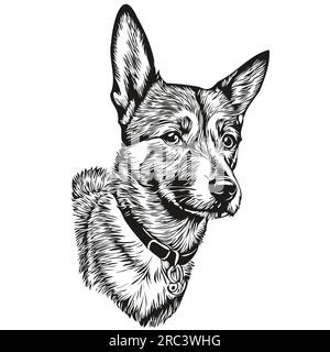 Basenji dog vector face drawing portrait, sketch vintage style ...
