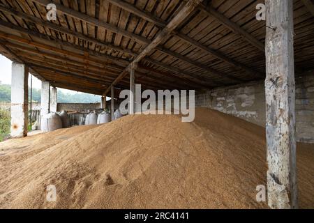 Bulk storage of grains at grain elevator site by rail road with ...
