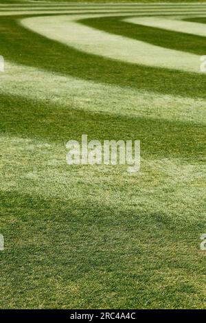 Plants, Gardens, Pattern of freshly mowed lawn. Grass Stock Photo - Alamy