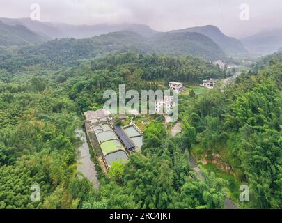 Aerial photo shows rare three-stream tidal bores converging along ...