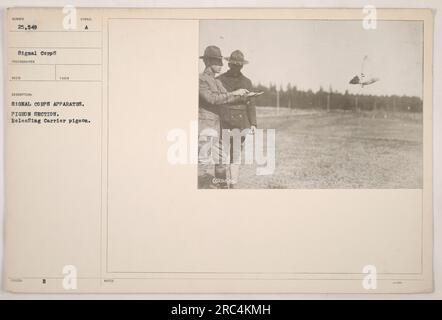 Soldiers using Signal Corps apparatus during World War One. The ...