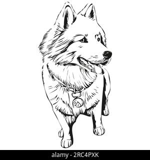 Samoyed dog head line drawing vector,hand drawn illustration with ...