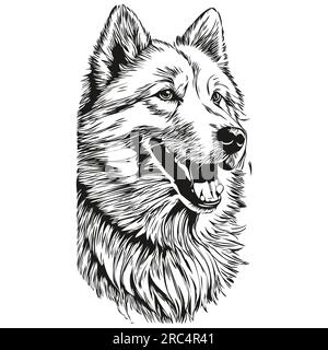 Samoyed dog head line drawing vector,hand drawn illustration with ...