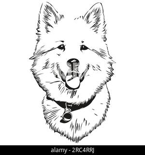 Samoyed dog head line drawing vector,hand drawn illustration with ...