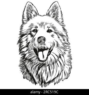 Samoyed dog head line drawing vector,hand drawn illustration with ...