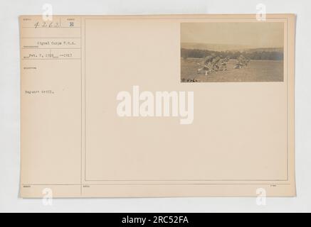 Soldiers practicing bayonet drills during World War One Stock Photo - Alamy