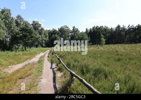 Impressionen aus dem Venner Moor im Münsterland Stock Photo - Alamy