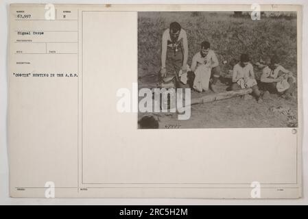 Photograph of soldiers hunting for lice on their clothing in the ...