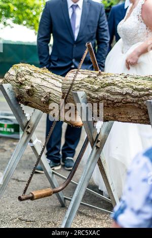 Sawing a tree trunk for a wedding, tradition for bridal couples with ...