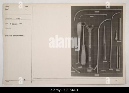 Labeled Surgical Tools Stock Photo - Alamy