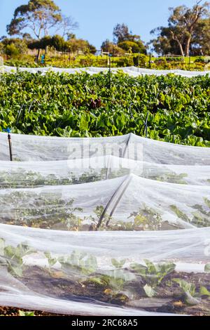 The Briars in Mount Martha Australia Stock Photo - Alamy