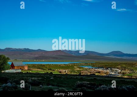Private dam at River' End Ranch has diverted the remaining water in ...