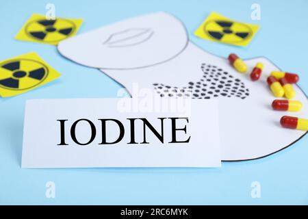 Paper note with word Iodine, cutout of thyroid gland, bottle and pills ...
