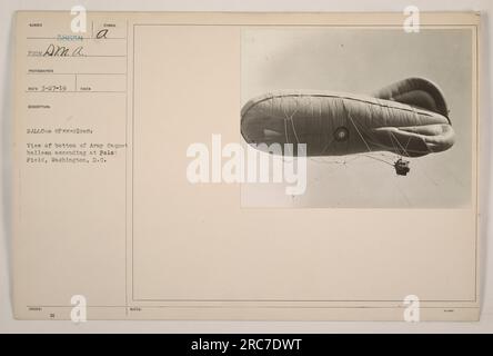 Caquot balloon during military operations at Washington D.C's Polo ...