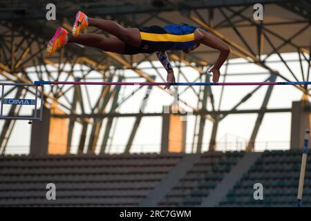 Emmanuel Karalis (October 20, 1999, Athens) is a Greek pole vaulter ...