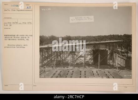 Manufacture of gases for American forces at Edgewood Arsenal, Maryland ...
