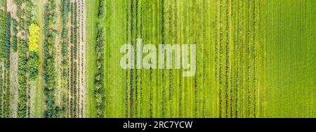 Aerial drone image of fields with diverse crop growth based on ...