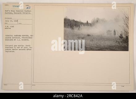 Image shows a shrapnel gas shell after explosion. The shell contained ...