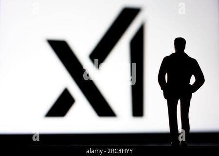 xAI company logo seen on the screen. Elon Musk created artificial ...
