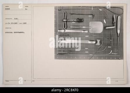 Labeled Surgical Tools Stock Photo - Alamy