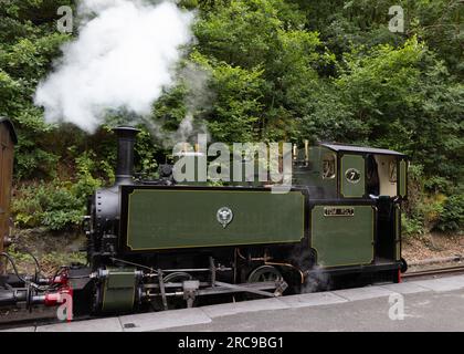 Tallyllyn Railway narrow gauge steam locomotive Tom Rolt heads a train ...