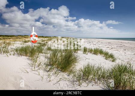 geography / travel, Denmark, Bornholm, Dueodde, dunes at beach of ...