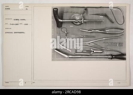 Labeled Surgical Tools Stock Photo - Alamy