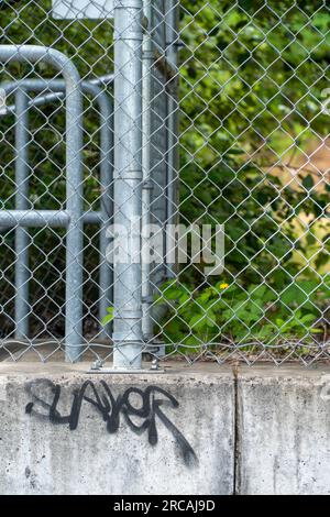 Portland, Oregon, USA. 14th June, 2025. The No Kings Protest crosses ...