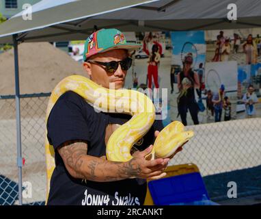 Amelanistic Burmese python Stock Photo - Alamy