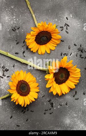 Beautiful sunflowers and seeds on grunge light blue background Stock ...