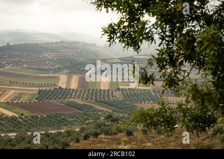 agricultural fields in the valley of Elah, Israel Stock Photo - Alamy