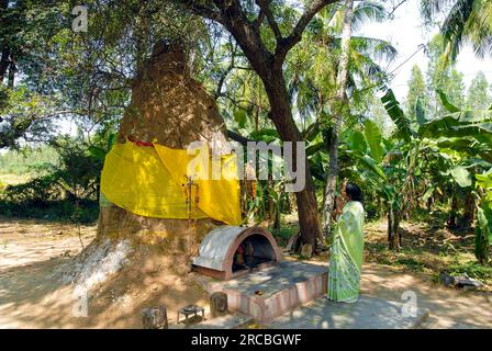A woman worshipping snake putru white ant-hill Tamil Nadu, South India ...
