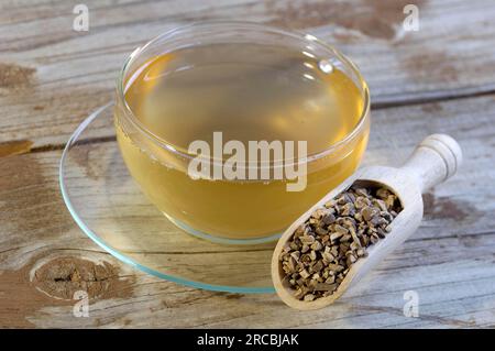 Cup of tea from shrub peony root bark (Moutan radicis cortex), shrub ...