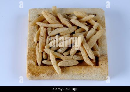 Snake's beard root (Ophiopogonis Radix), freeze frame, object Stock ...