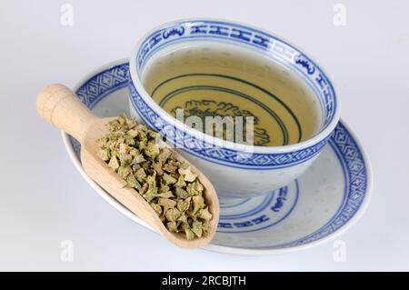 Burzel Thorn Fruit Tea (Tribuli Fructus Stock Photo - Alamy
