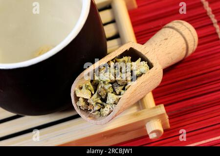 Burzel Thorn Fruit Tea (Tribuli Fructus Stock Photo - Alamy