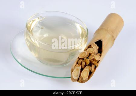Cup membrane milk root tea (Astragalus membranaceus) (Astragali Radix ...