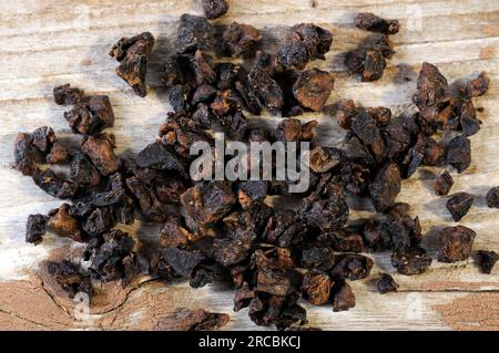 Polygonum root (Radix Polygoni Multiflori), Zhi He Shou Wu Stock Photo ...