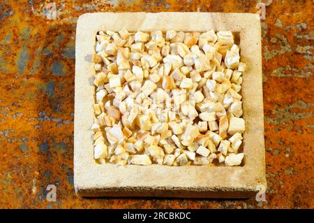 Platycodon root (Radix Platycodonis Stock Photo - Alamy