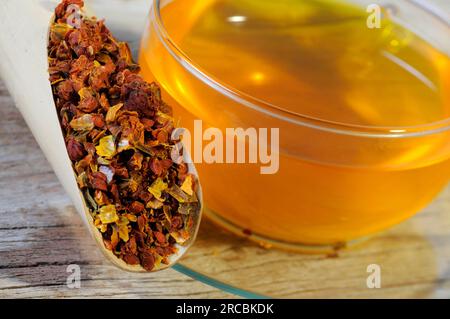 Cup gardenia fruit tea (Gardeniae Fructus), gradenia fruit tea Stock ...