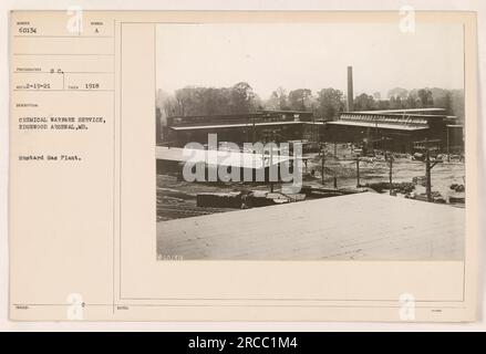 This photograph shows the Mustard Gas Plant at Edgewood Arsenal ...