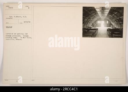 German War Prison Camp Number 45671, photographed on March 10, 1921, by ...