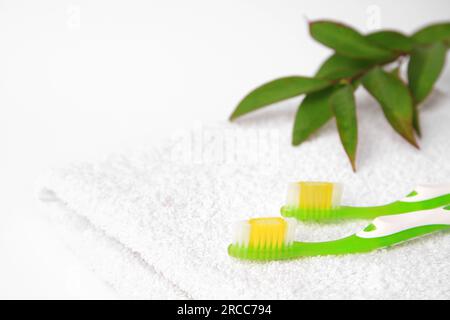 Light green toothbrushes, terry towel and ivy on white background, top ...