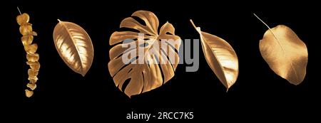 Collage with beautiful gold painted leaves of Ficus Elastica plant on ...