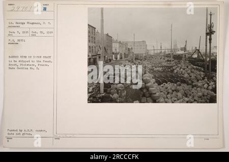 Lt. George Siegmann photographed warehouses being built by the 106th ...