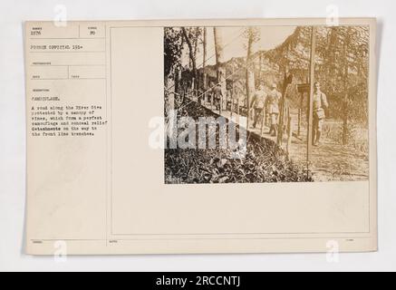 A trench on the front line, covered with camouflage netting Stock Photo ...