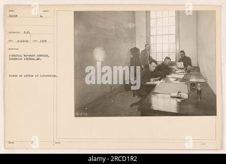 A scene in Laboratory at Edgewood Arsenal, MD, during World War One ...
